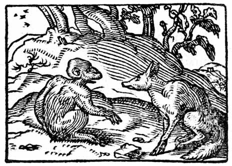 Monkey and Fox: An Election Fable for Our Times – SENTENTIAE ANTIQUAE